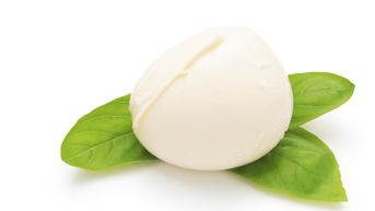 Cheese ingredient supplier | Corbion