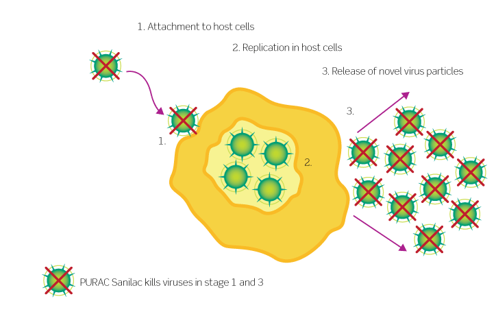 PURAC® Sanilac | Corbion